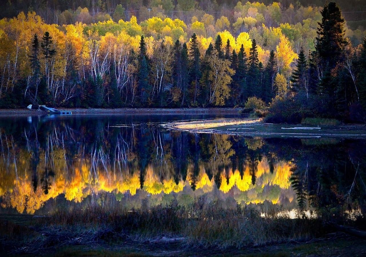 Dark Diversity: Die unbekannte Seite der Artenvielfalt – wie der Mensch ...