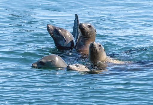 ¿Qué es un rayo globular? El fenómeno meteorológico más espectacular y ...
