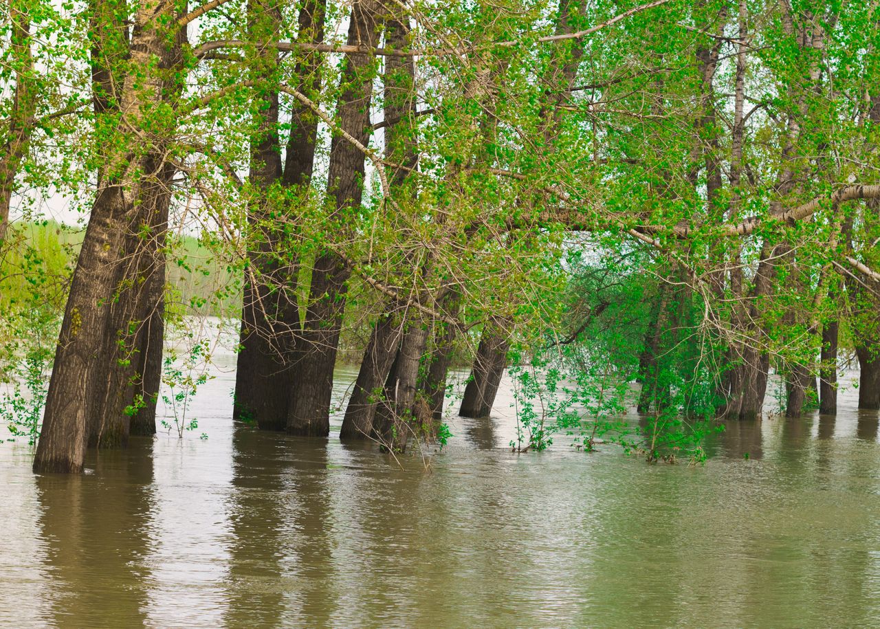 Deadly weekend flooding in Kentucky: river threat persists as dangerous ...