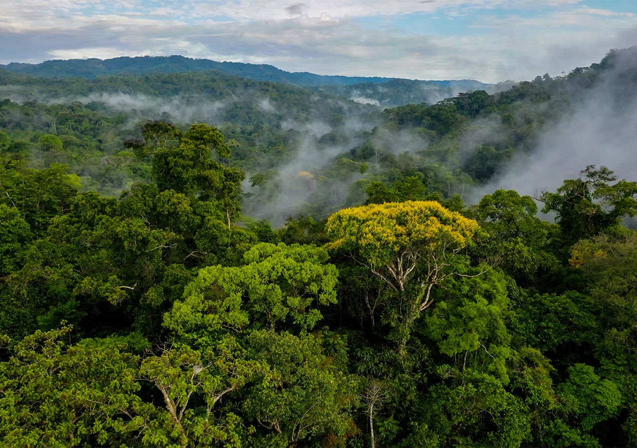 Degradation is outpacing deforestation in the Amazon Rainforest