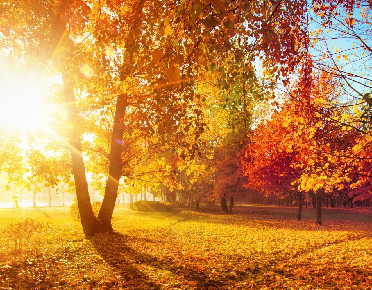 Der Herbst 2025 wird alles verändern – doch was wirklich kommt, ahnt ...