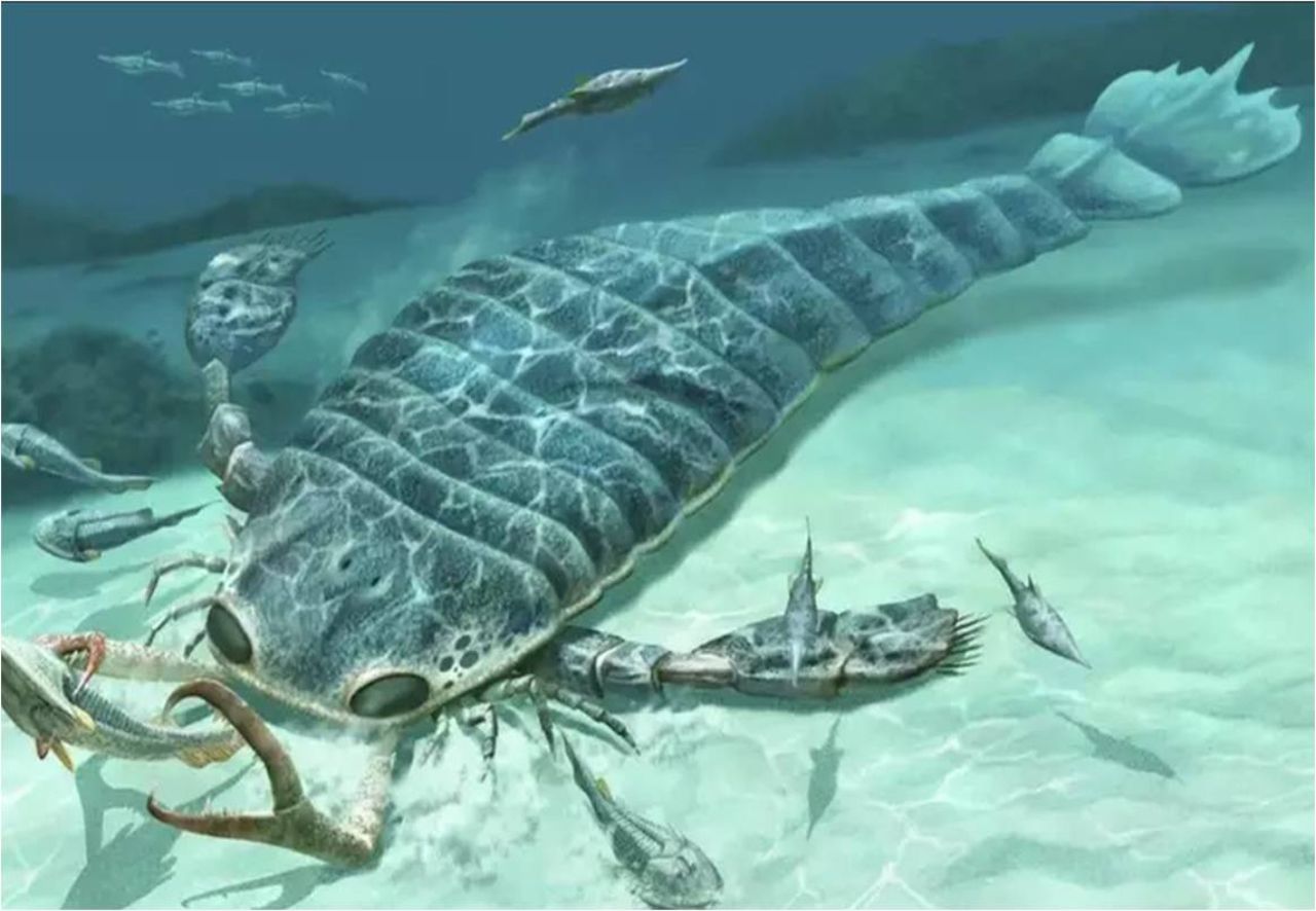 Fossil eines Riesenskorpions in Australien entdeckt, der größer als ein ...