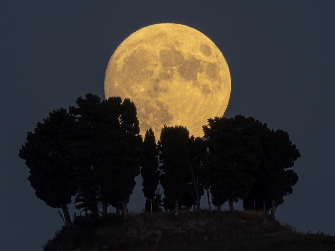 Descubre la súper Luna de octubre y otros espectáculos celestes: guía ...