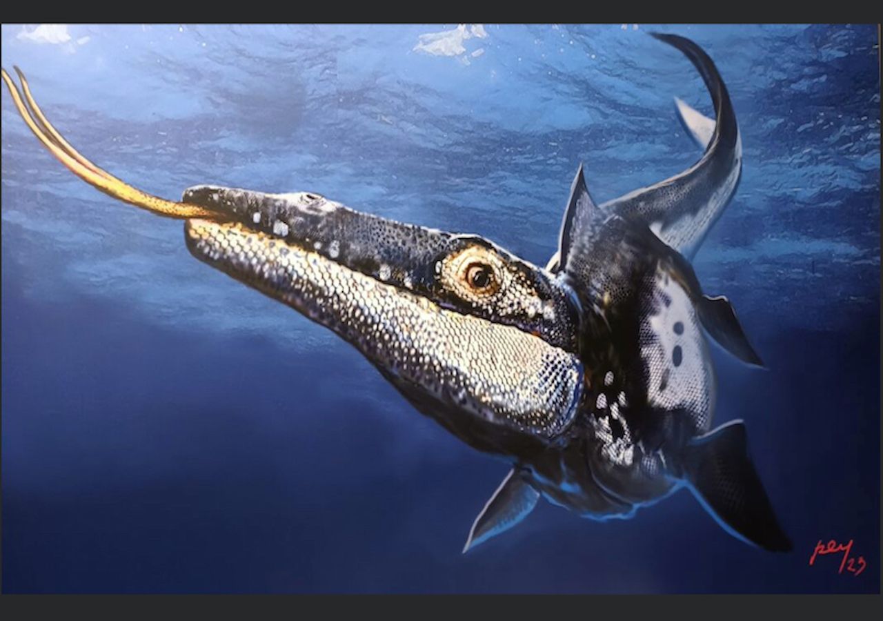 Neue fossile Mosasaurierart, Yaguarasaurus regiomontanus, gefunden in ...