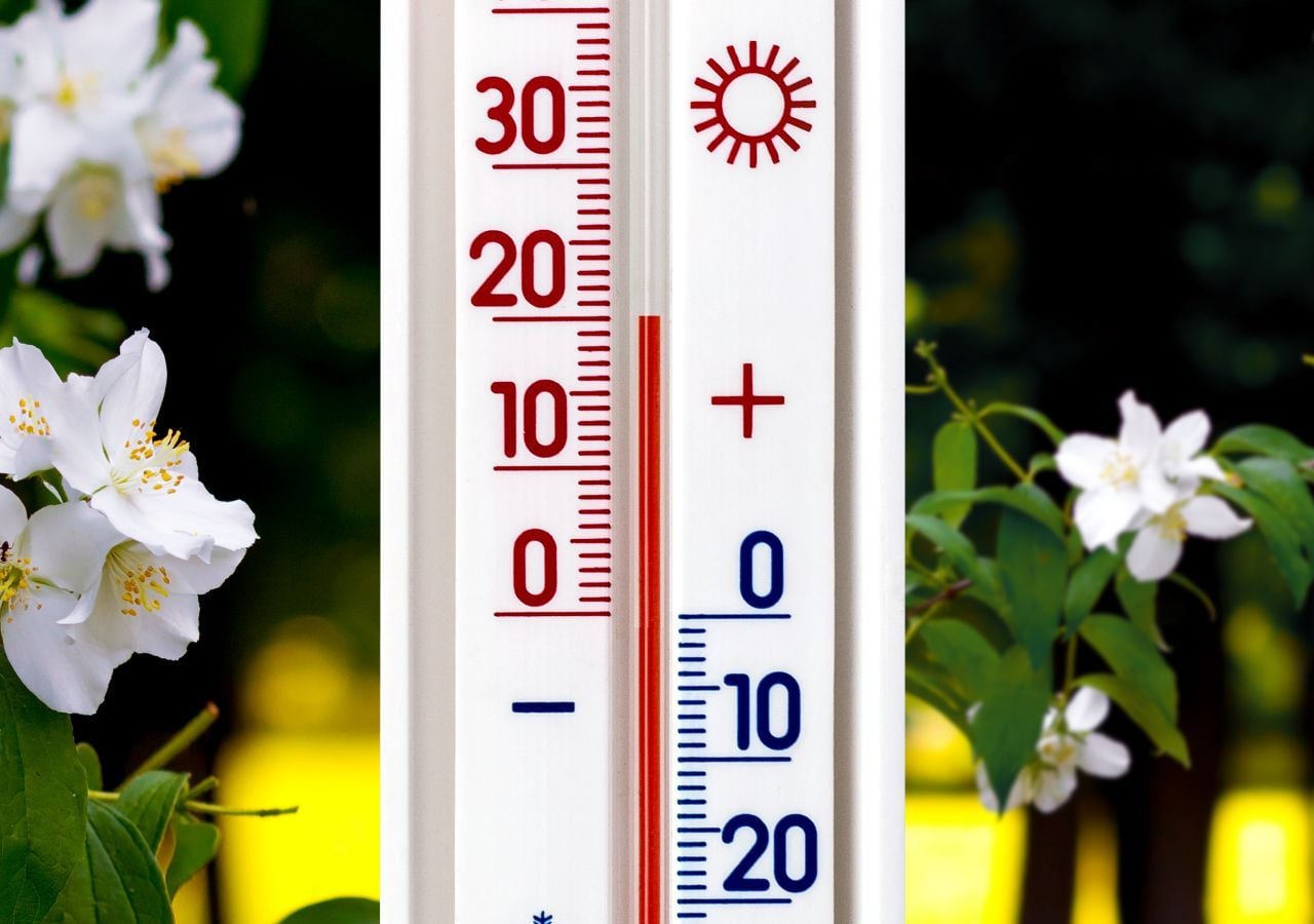 Bis zu 18°C in dieser Woche! Ist der Winter schon komplett vorbei ...