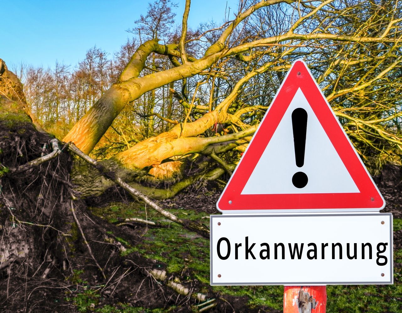 Wie gefährlich wird der Winter 2023/24 für Deutschland? Orkan, Sturm ...