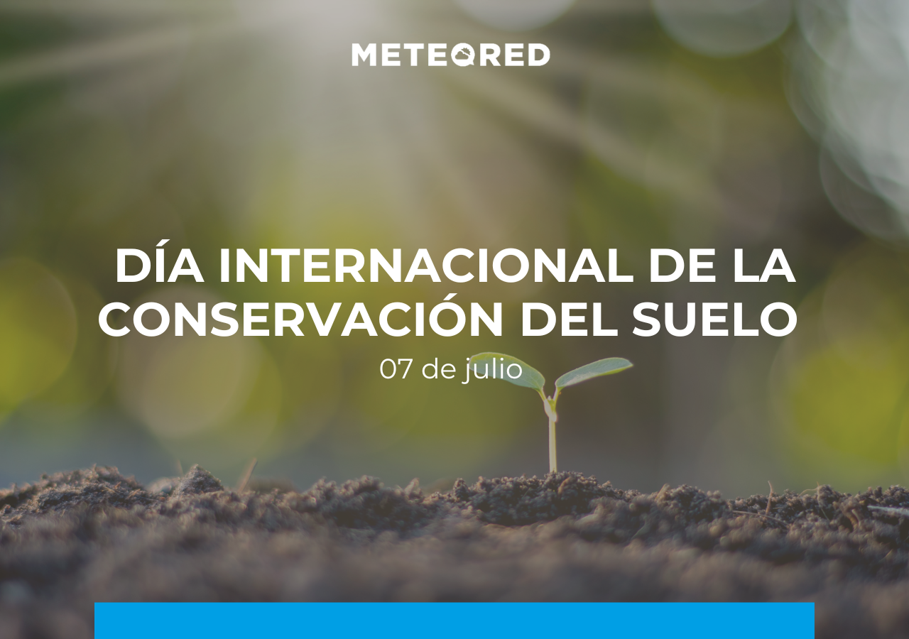 Día Internacional de la Conservación del Suelo 2025: Recuperar el suelo es asegurar el futuro