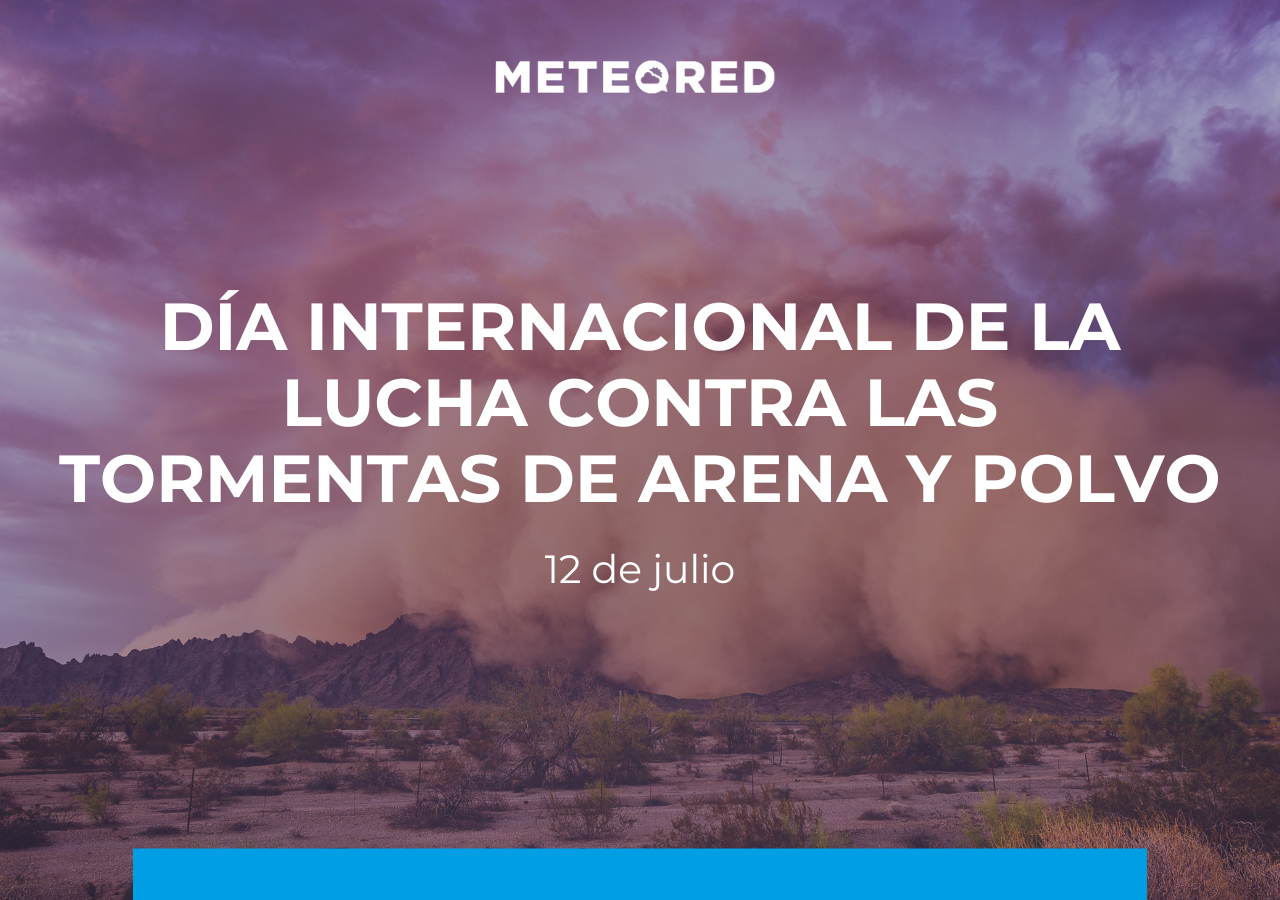 Día Internacional de la Lucha contra las Tormentas de Arena y Polvo ...