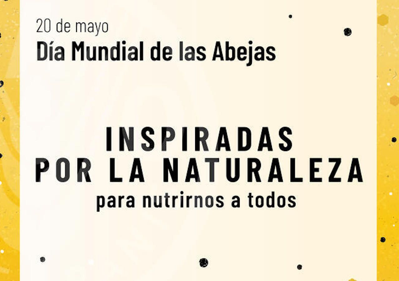 Día Mundial de las abejas: ¿Por qué se celebra hoy 20 de mayo?