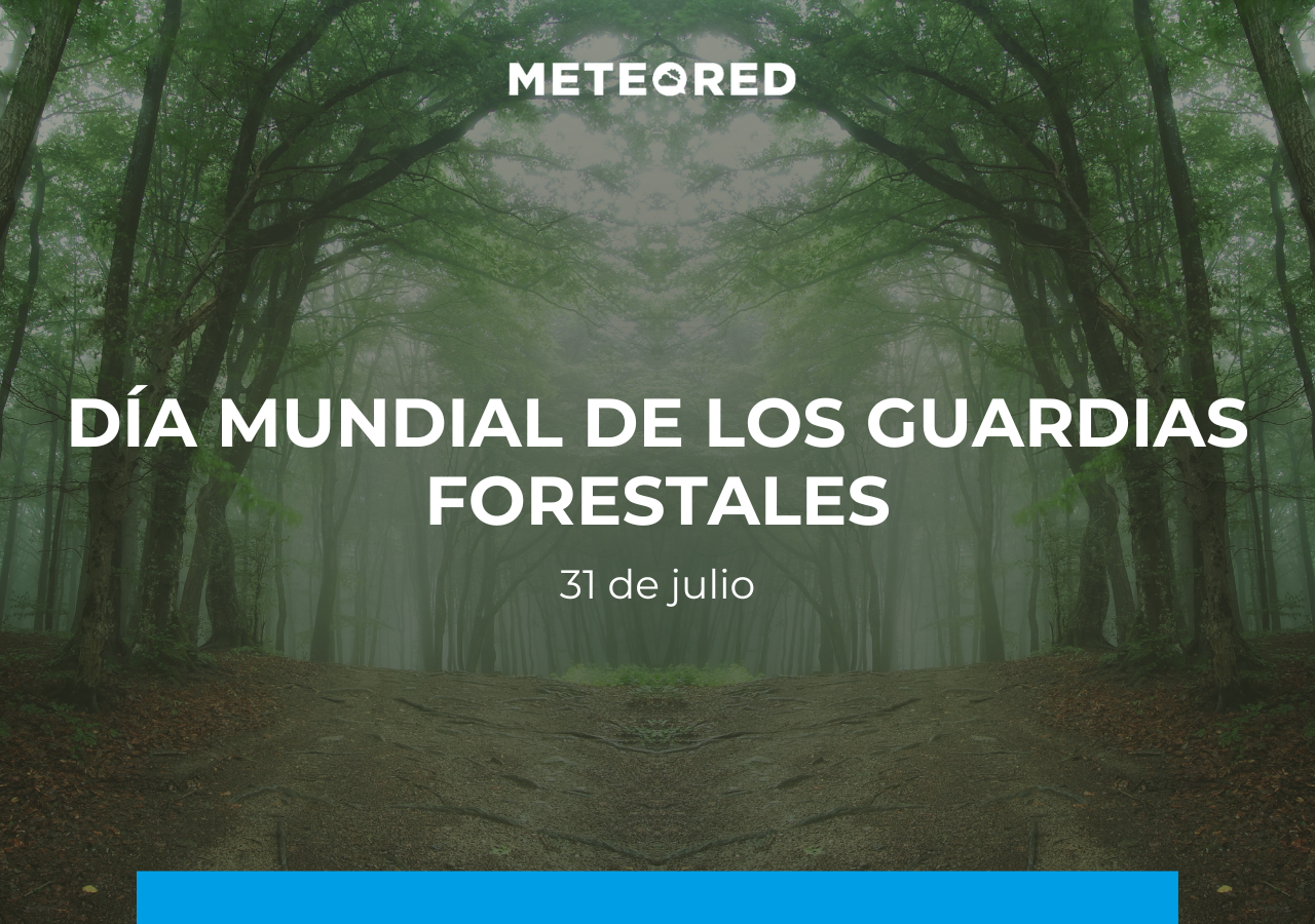 Día Mundial de los Guardias Forestales 2025, “Guardabosques: impulsando ...