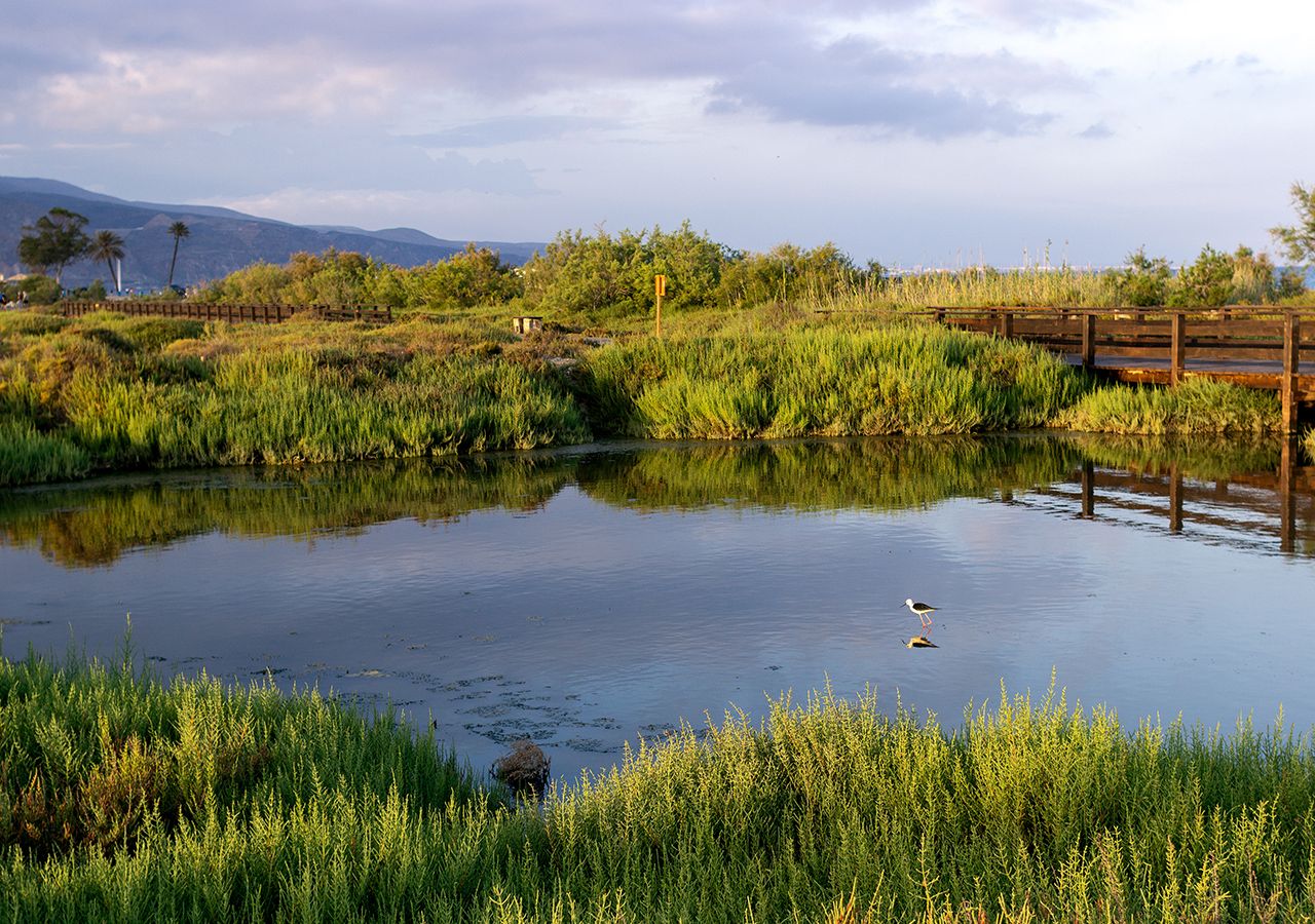 Día Mundial de los Humedales: todo lo que tenés que saber
