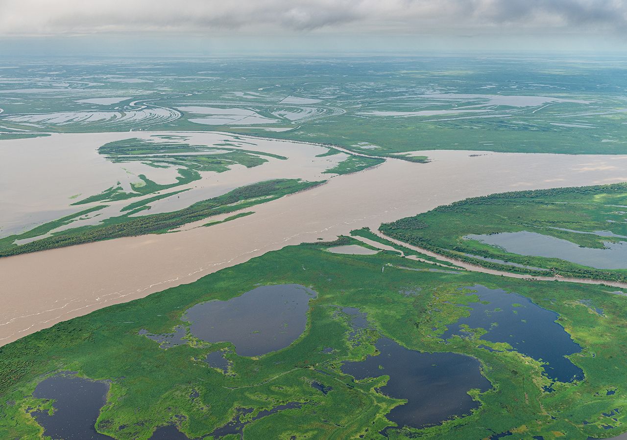 Día Mundial de los Humedales: todo lo que tenés que saber