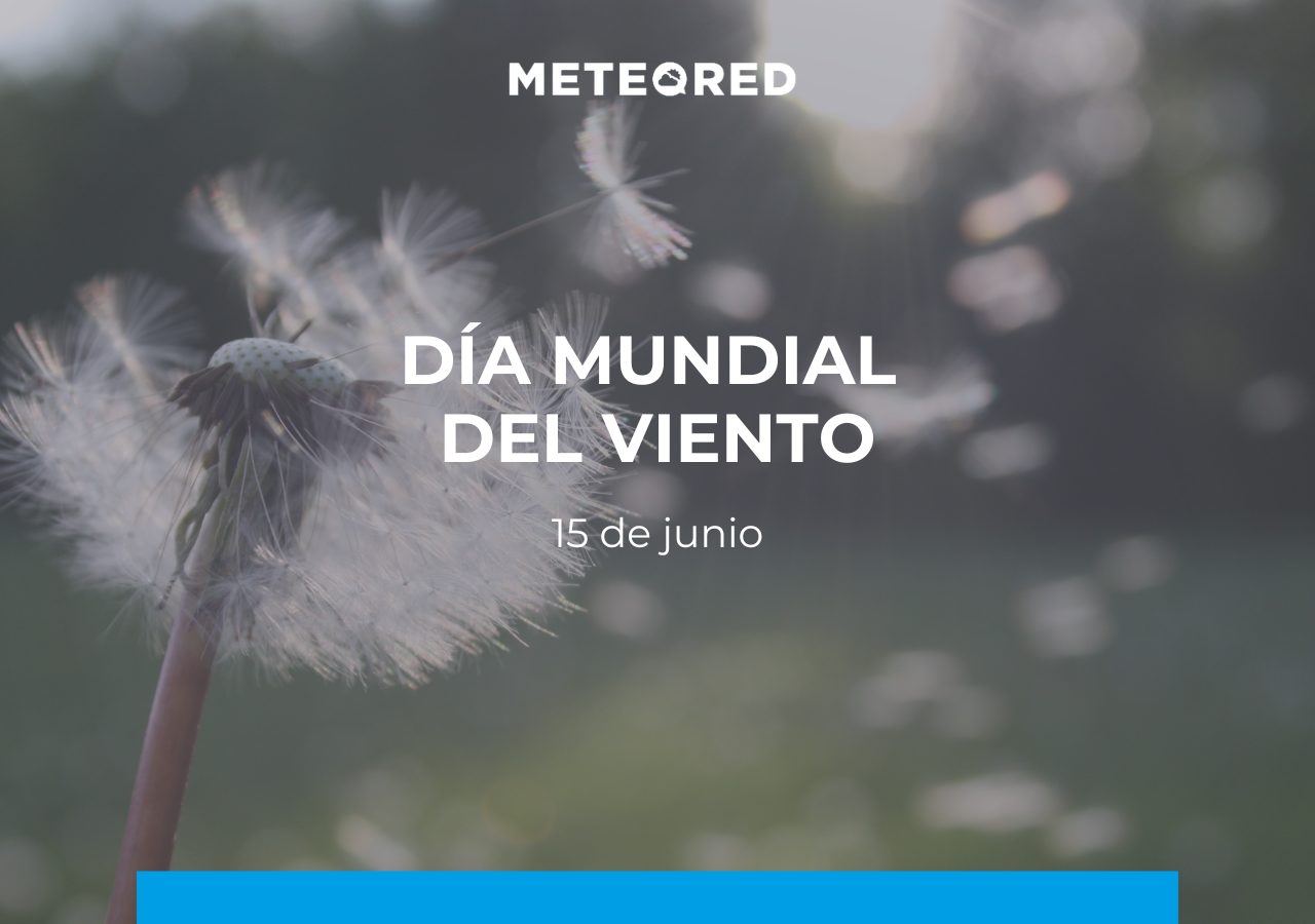 Día Mundial del Viento 2025: su importancia como fuente de energía ...
