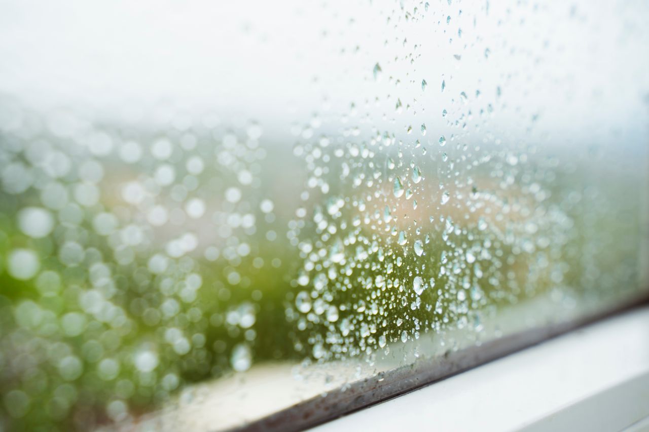 Do you think light rains are harmless? Scientists have discovered their ...