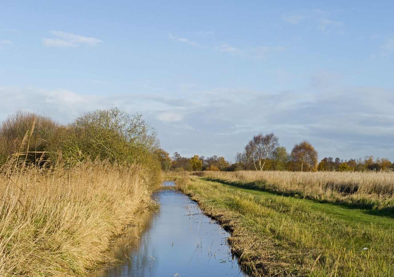 Drought is biggest threat to UK wildlife reserves