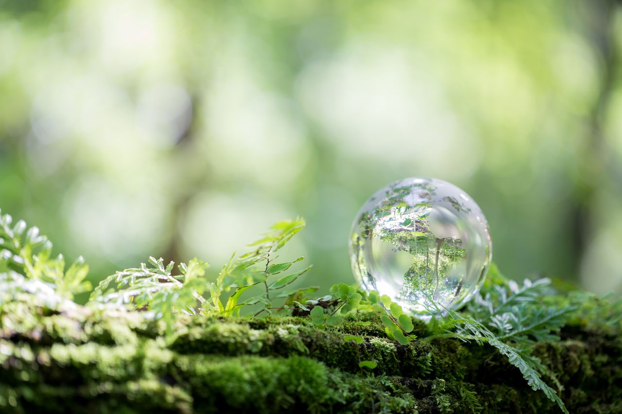 Earth Day is just around the corner: What is Earth Day and how can you ...