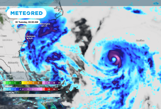 Even with La Niña, January 2025 was the warmest on record, Copernicus Observatory confirms