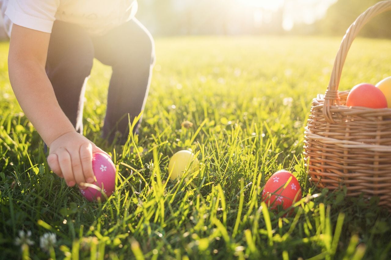 Easter Weekend Weather in South Florida: Breezy 80s Before Showers and ...
