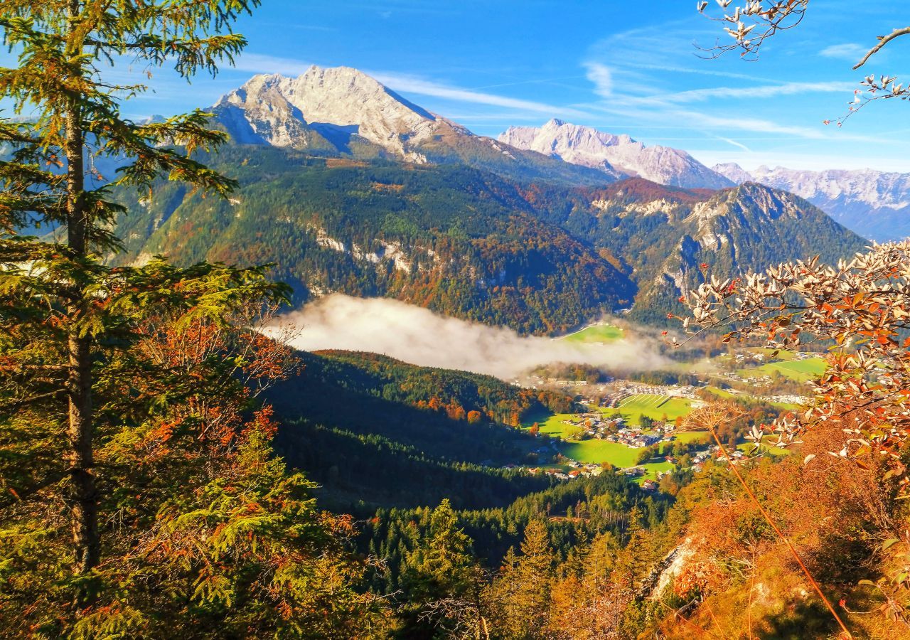 Alpine ecosystems are facing significant changes in biodiversity due to ...