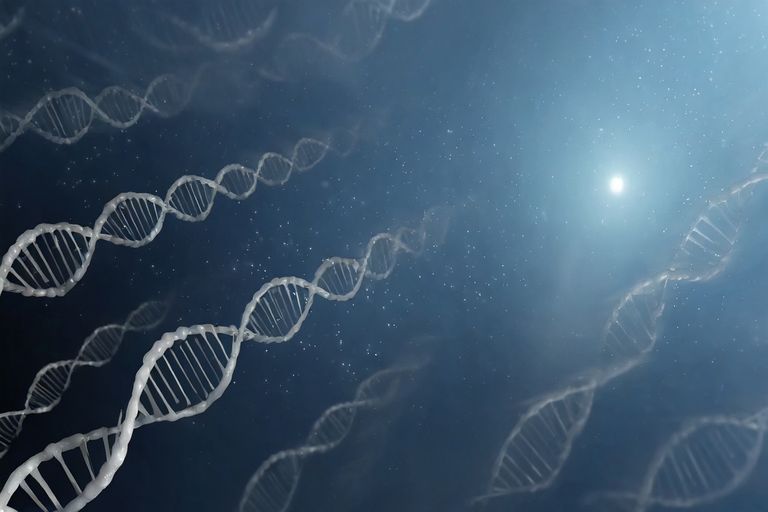 Lindstrom, MN Weather 14 days - Meteored