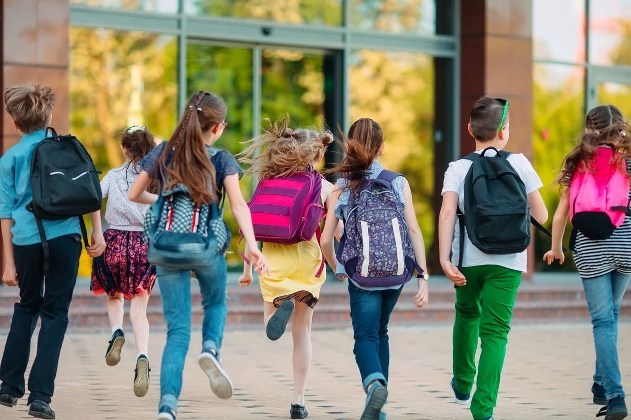 Educación de calidad: el pilar clave para salvar el mundo y cumplir la ...