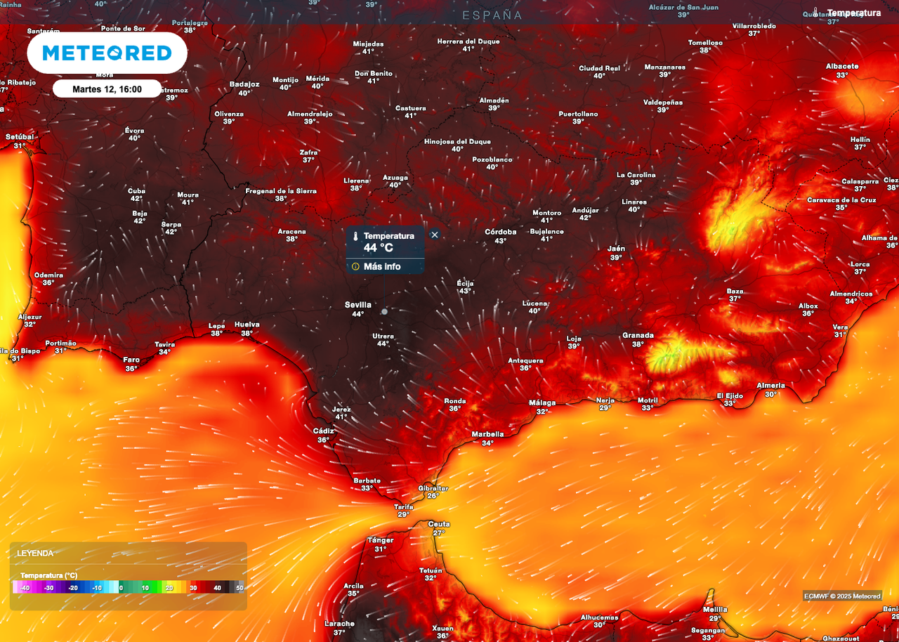 El aviso rojo de la AEMET en Sevilla estará vigente hasta esta hora: 44 ...