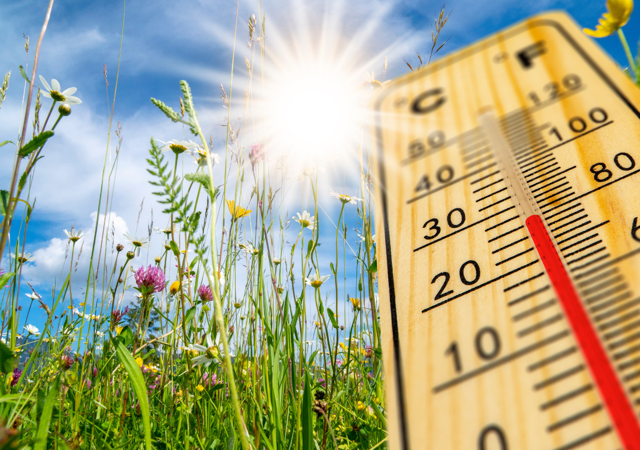El calor destacará en valles y precordillera del norte y centro norte ...