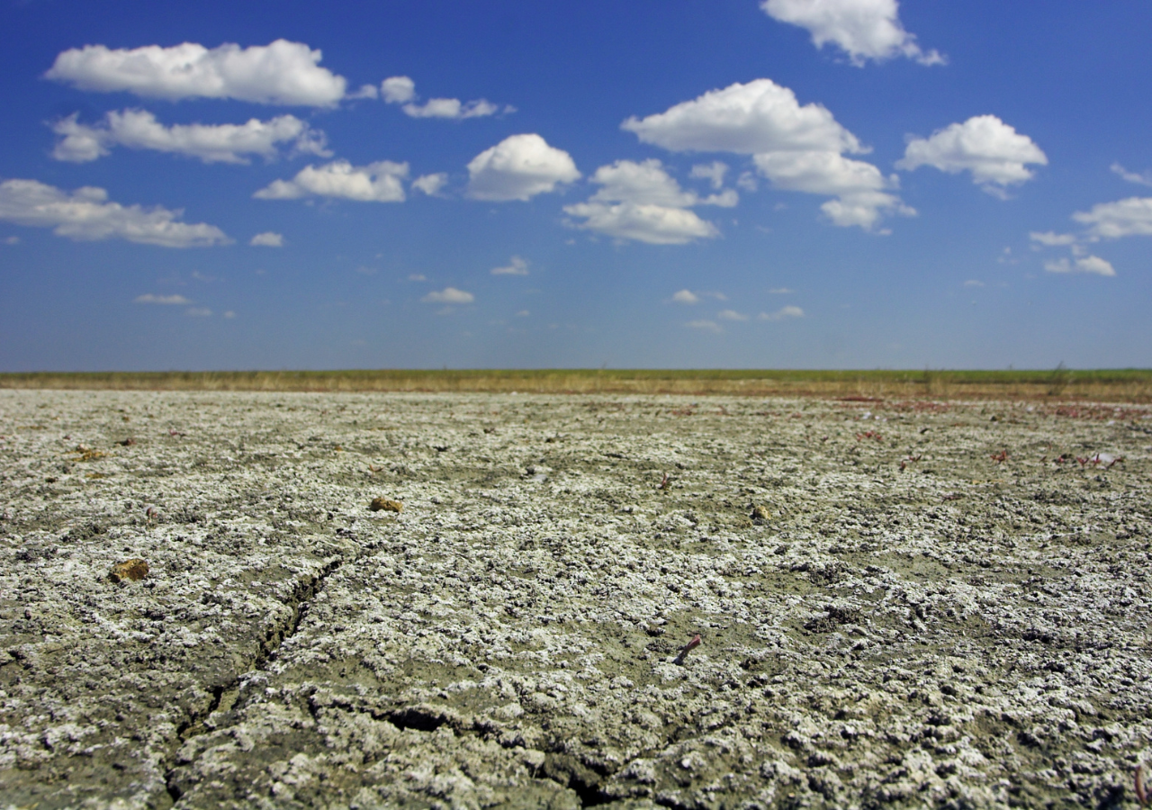 Le « cancer » des terres : comment la salinisation rend les terres ...