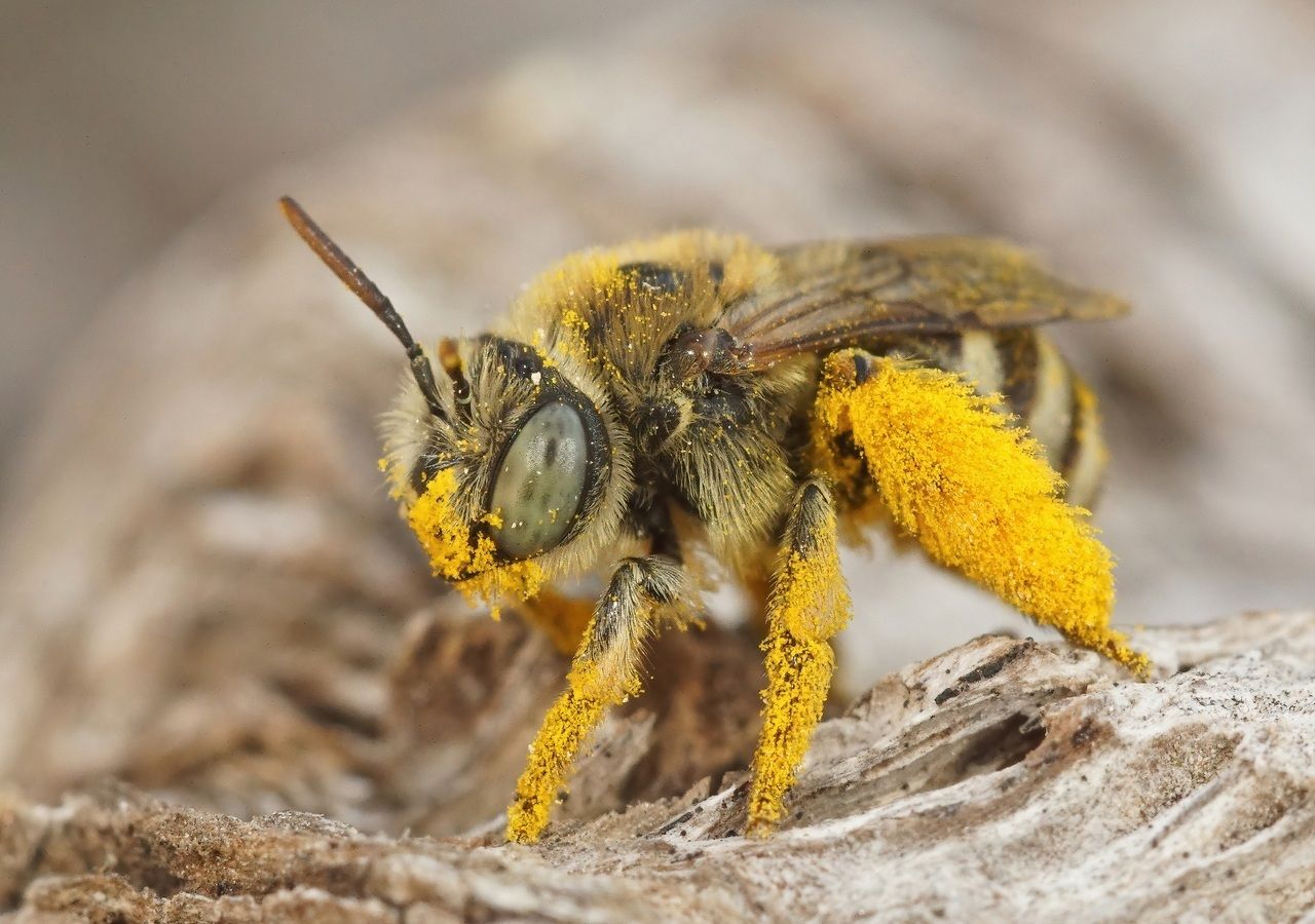 The Climate Is Changing Faster Than Ever and Nature Is No Longer Able ...
