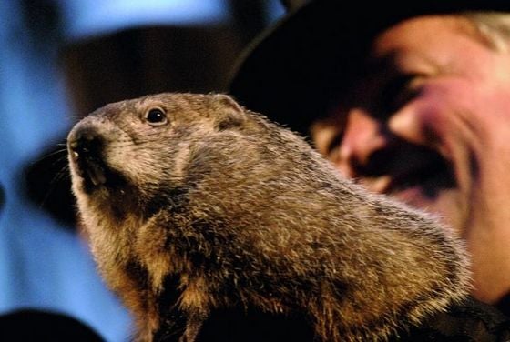 El Día de la Marmota 2019 ¿Verá el animalito su sombra?