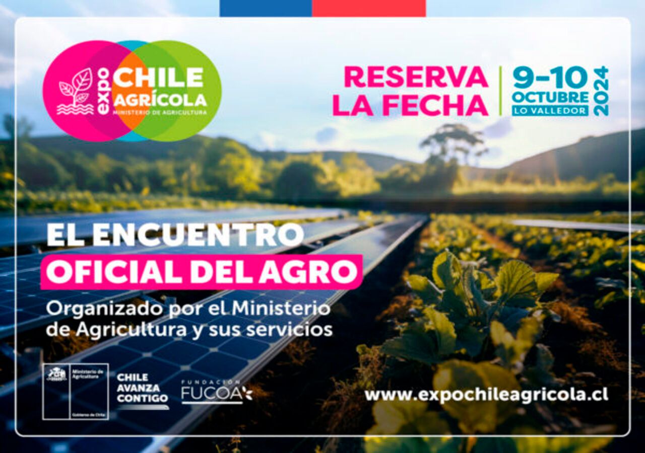 Comienza Expo Chile Agrícola 2024: el evento agrícola del año tendrá ...