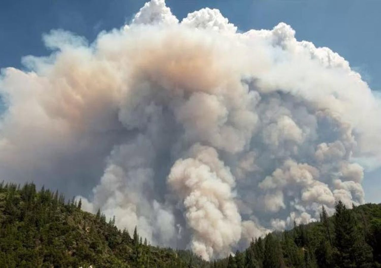 Il fumo di alcuni incendi boschivi fa il giro del mondo