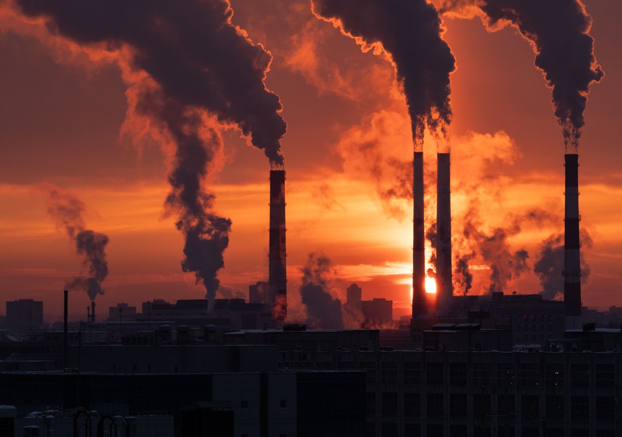 The "Global Carbon Budget 2024" report warns: the annual record of CO2 ...
