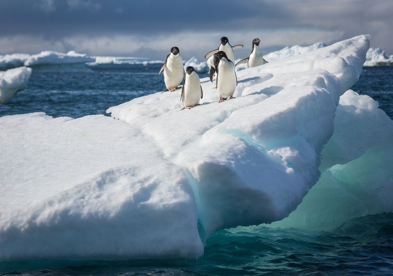 El mayor iceberg del mundo comenzó a moverse después de más de 30 años ...