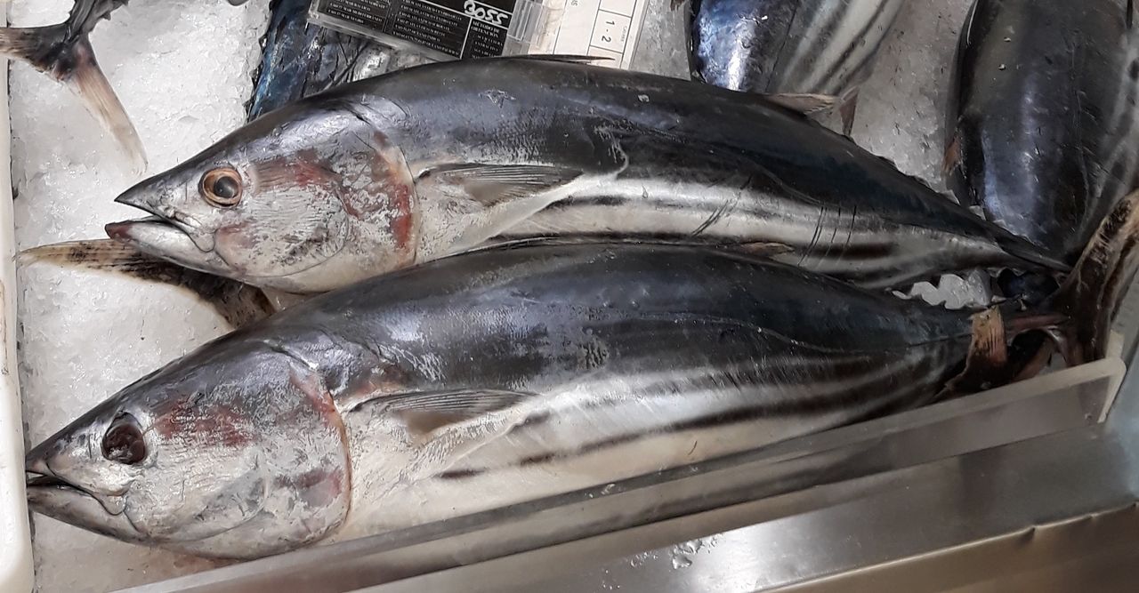 El Atun