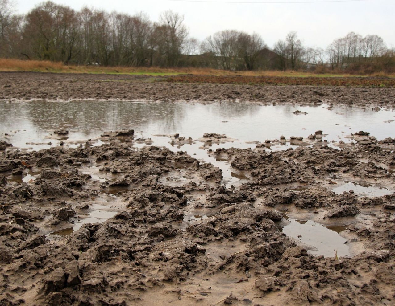 El principio del año en el refranero