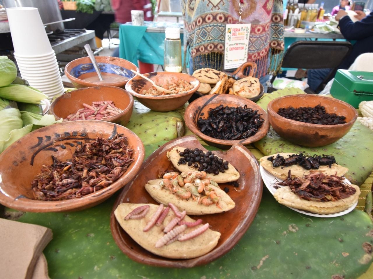El pueblo de Tlaxcala que no sale en las guías y tiene el mejor tlacoyo ...