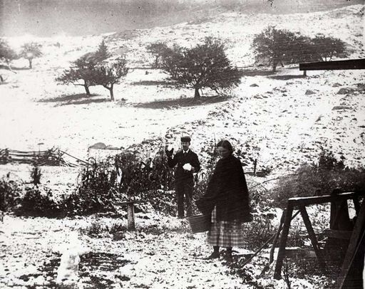 Museo Bentley De Copos De Nieve