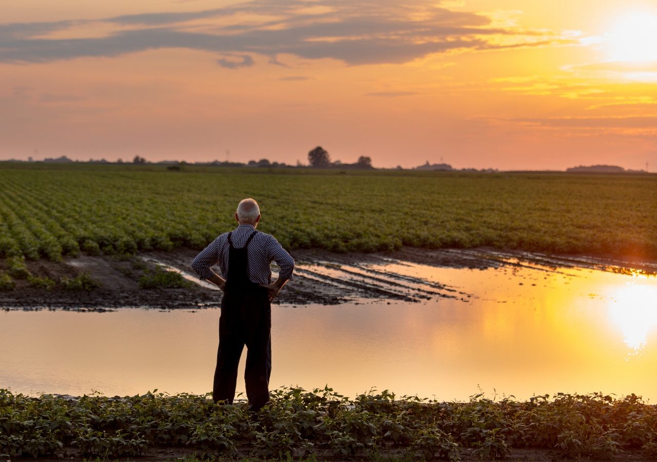El Servicio Meteorológico Nacional prevé un invierno poco frío en ...