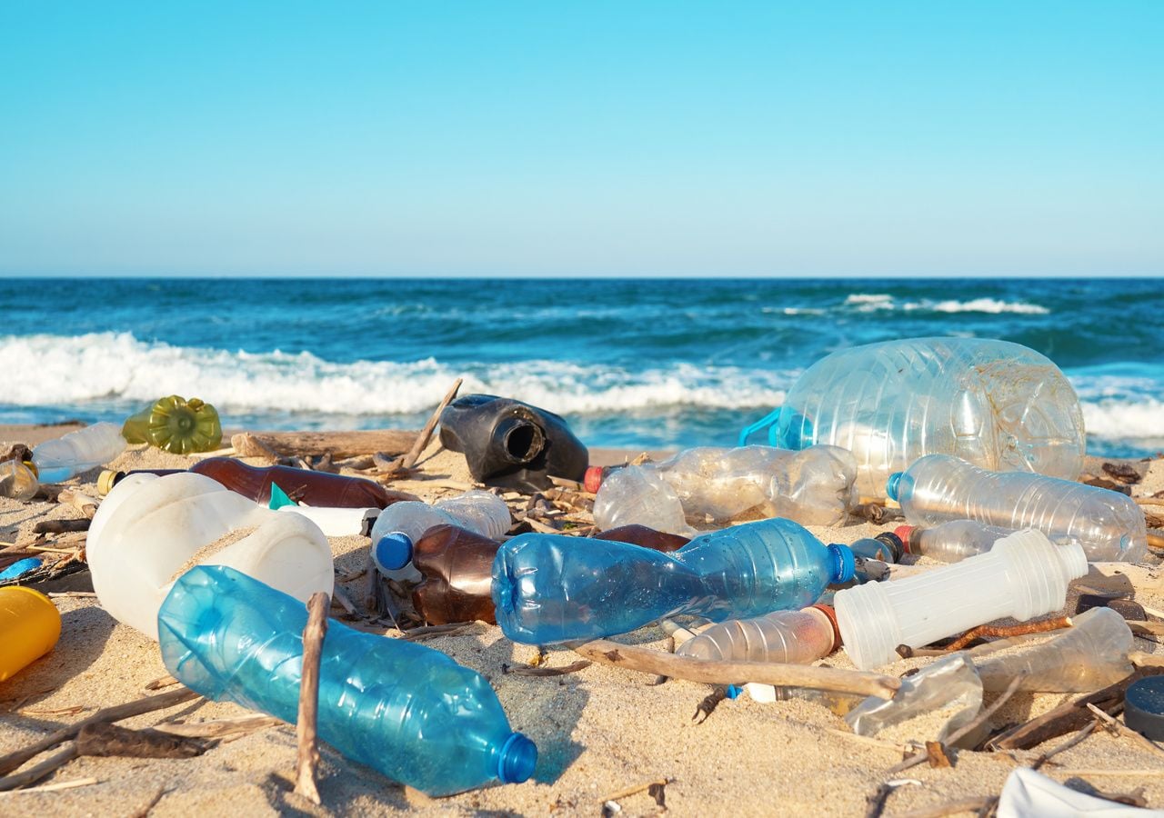 El viaje del plástico al océano: los expertos aclaran cómo la basura ...