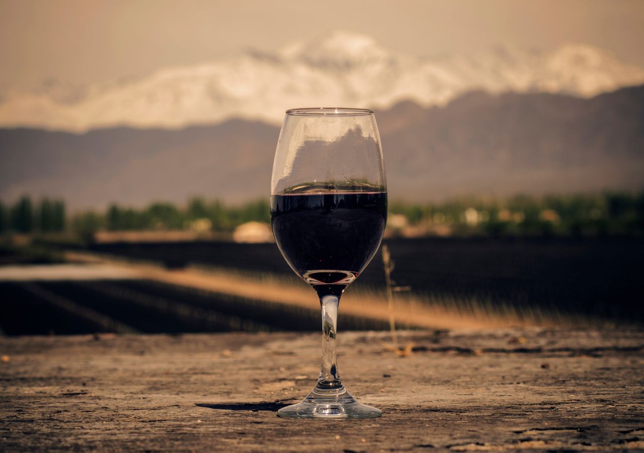 El vino de Mendoza en riesgo: cómo enfrentan las bodegas la inédita sequía