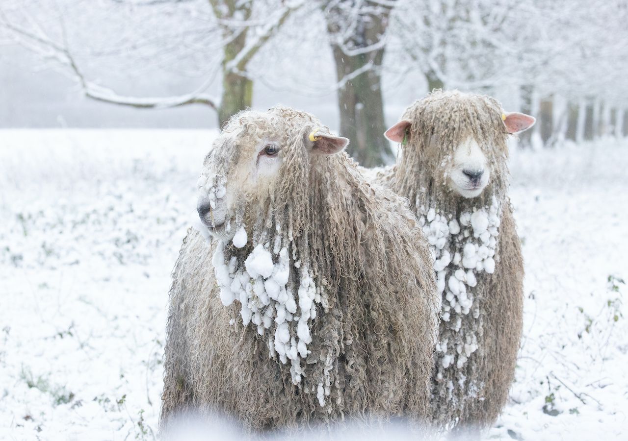 England deals with impacts of snow and floods after people, children ...