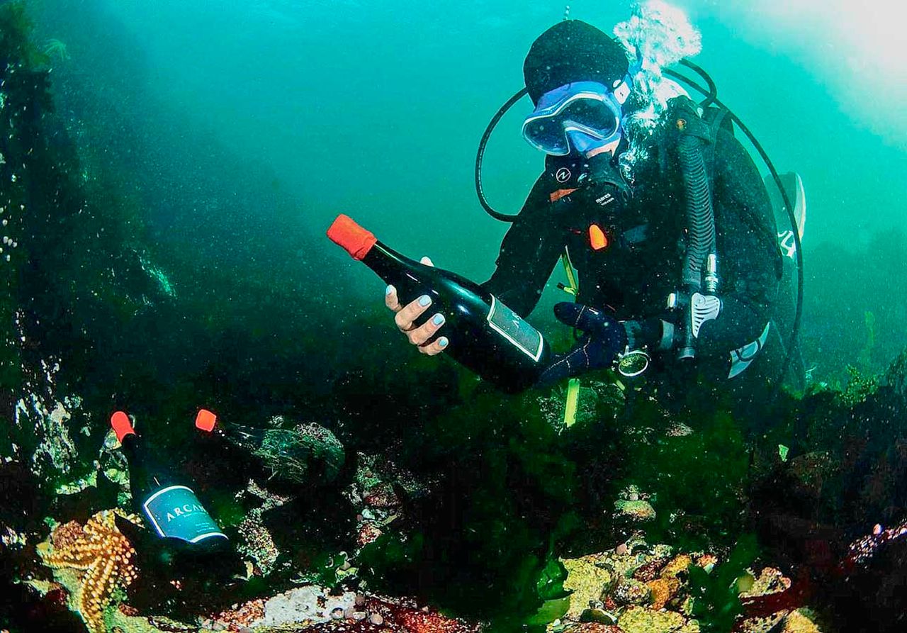 Enología subacuática en Chile: cuando el vino encuentra su bodega ideal ...