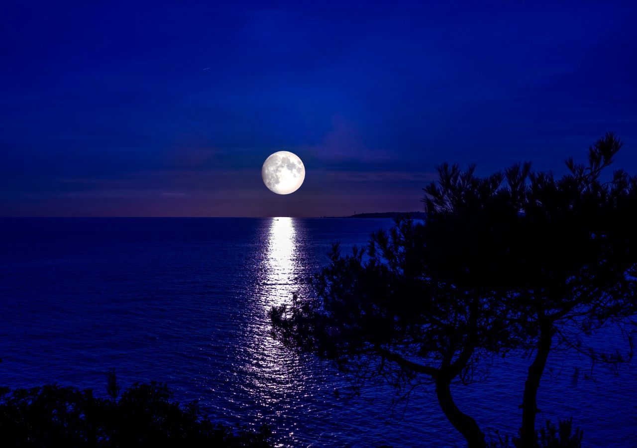Is it True That the Moon's Phases Affect Our Health? Here's What ...