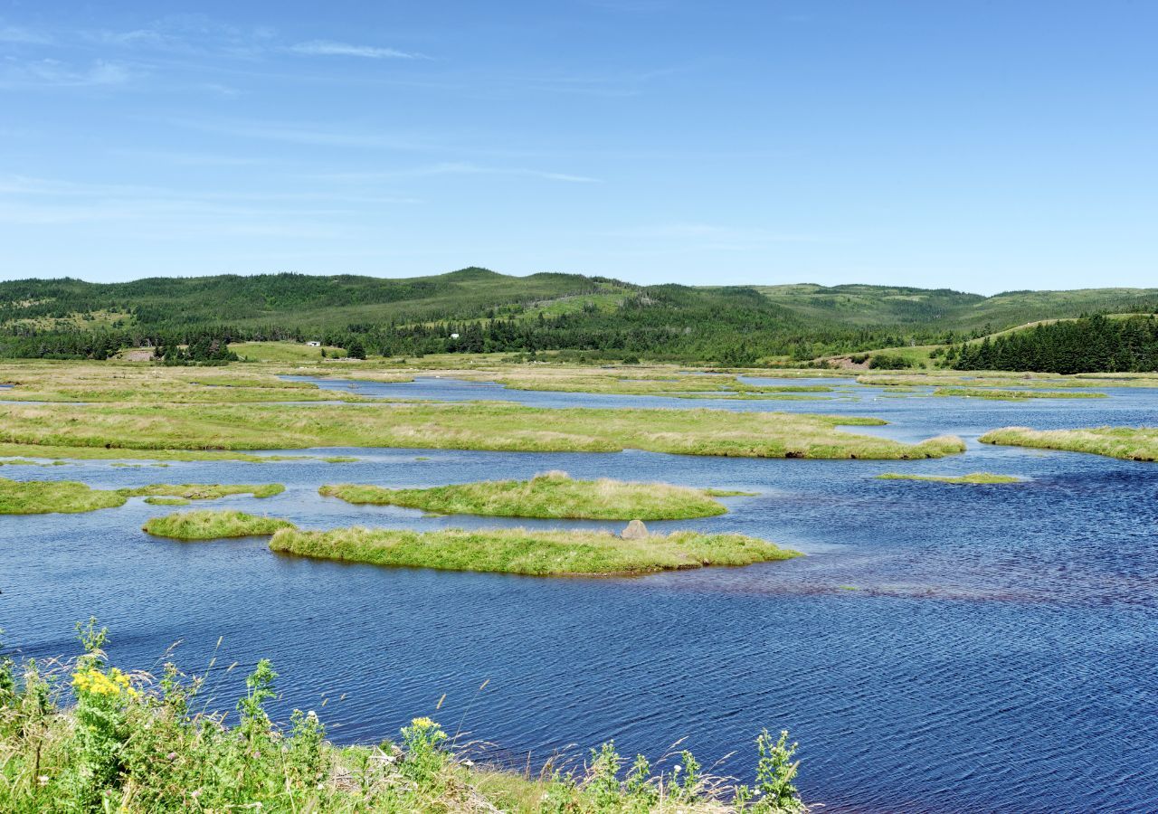 Onlyfans.com hazey haley i'm glad to have met an ASP as