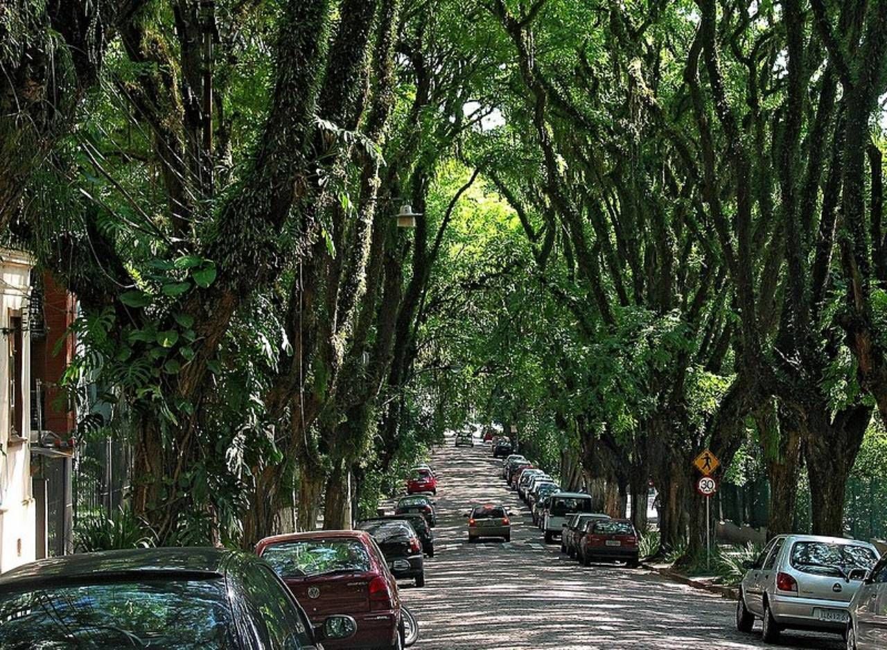 Essas são as 8 ruas mais bonitas do Brasil; confira