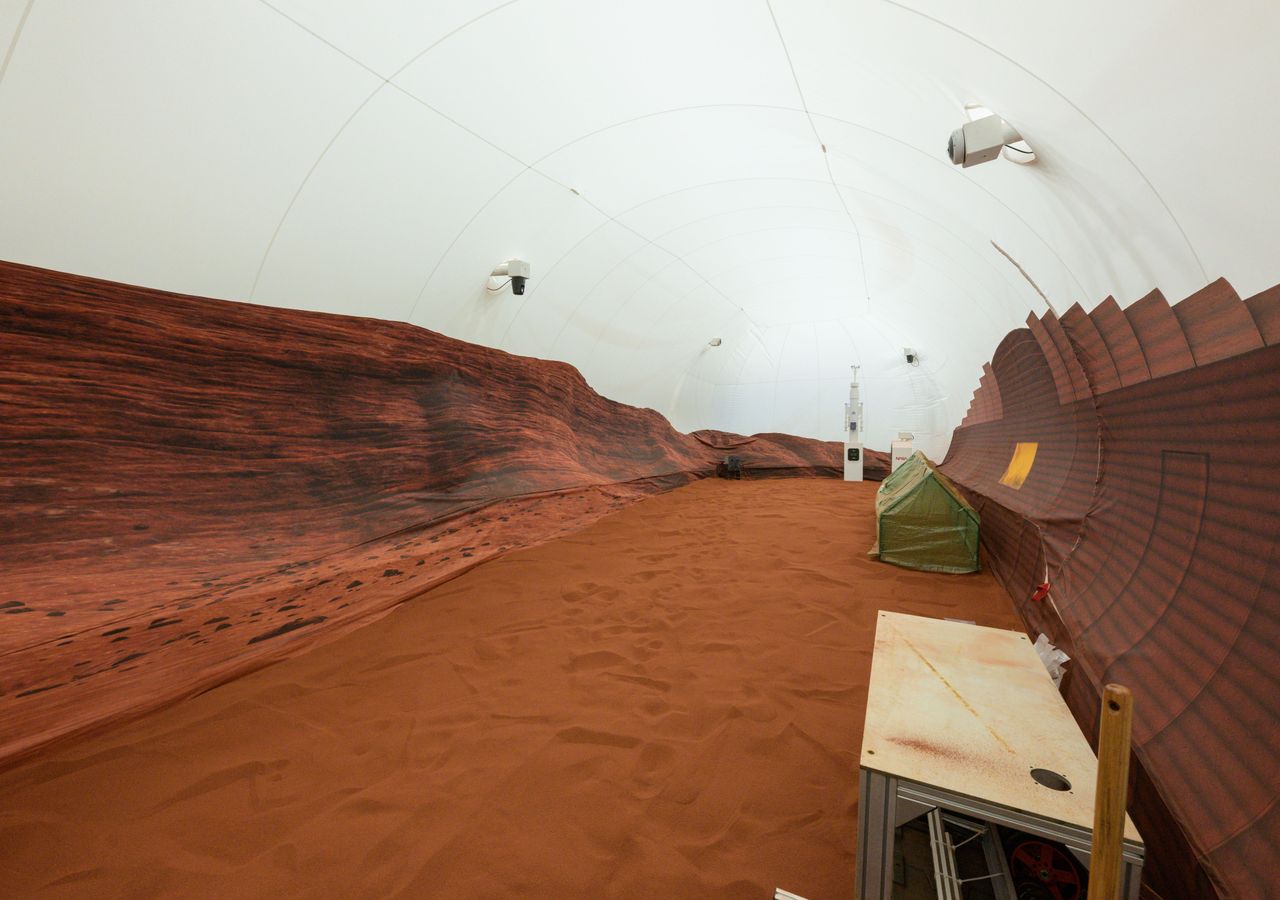 Mei cornejo- timmy turner according to that ad, she was