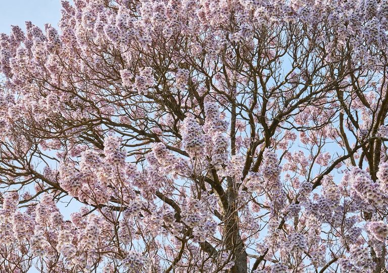 Weather Umtata 14 days - Meteored