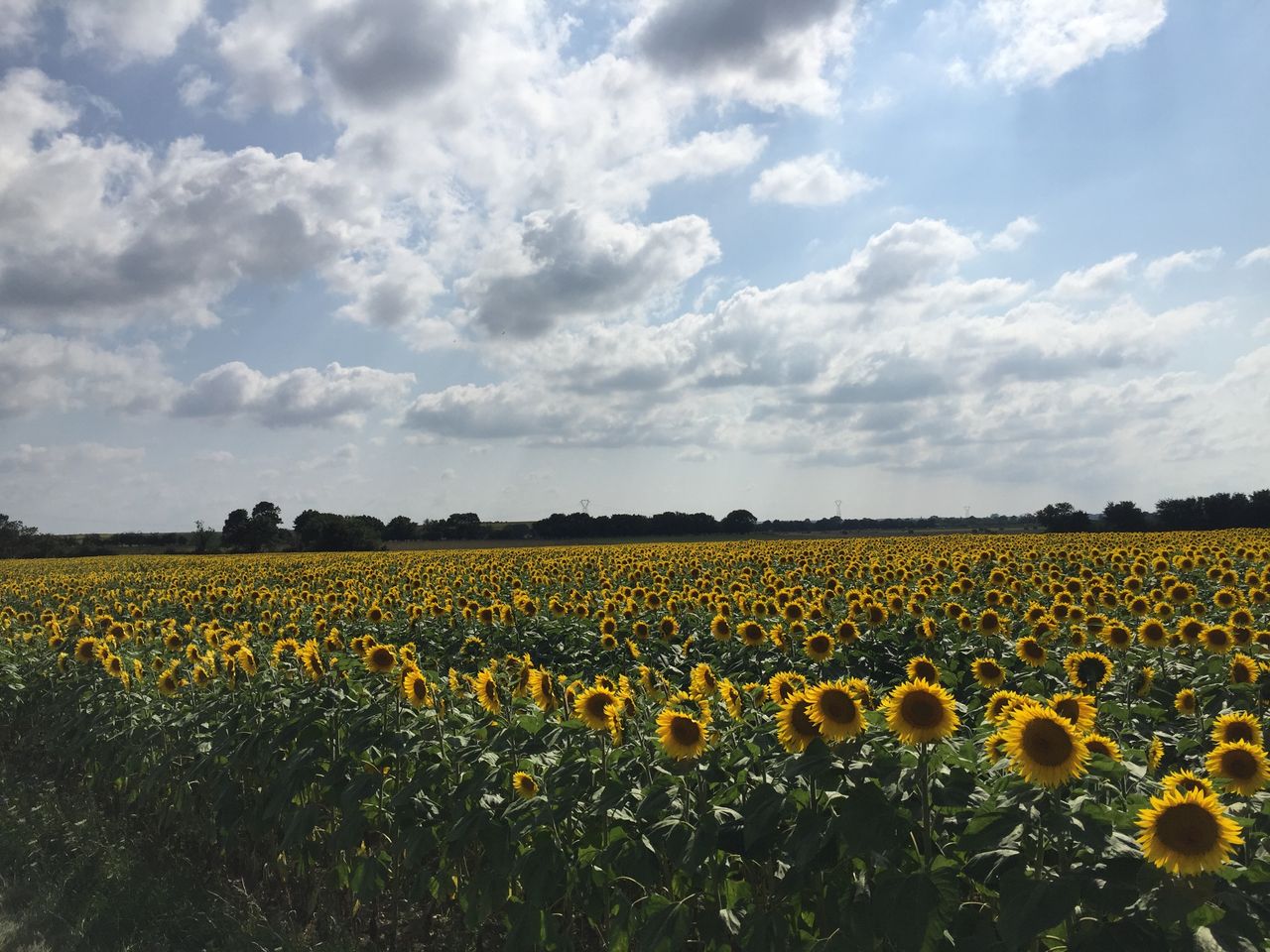 Été maussade : soleil et chaleur vont-ils revenir en août