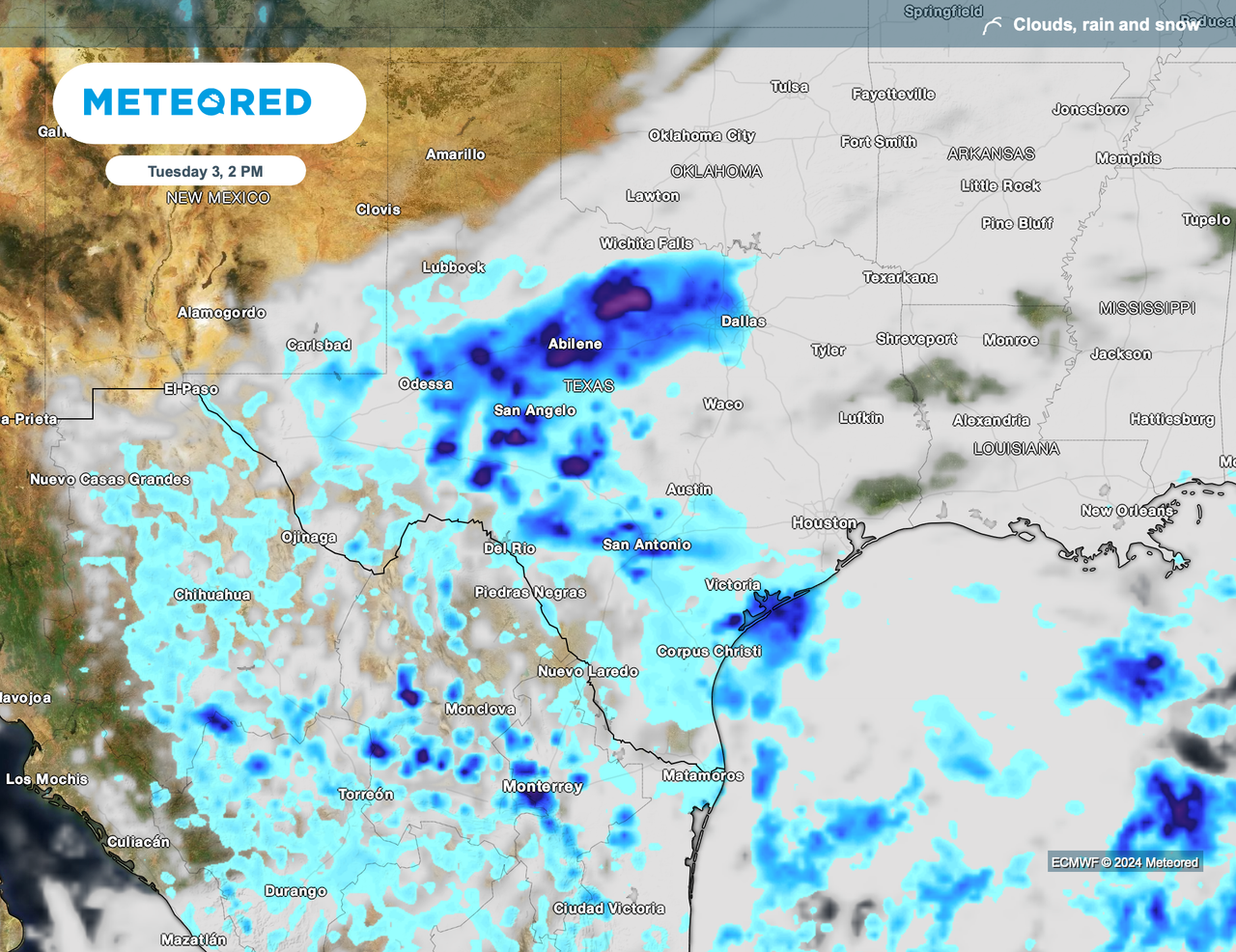 Excessive rainfall forecasted for Texas as a disorganized tropical ...